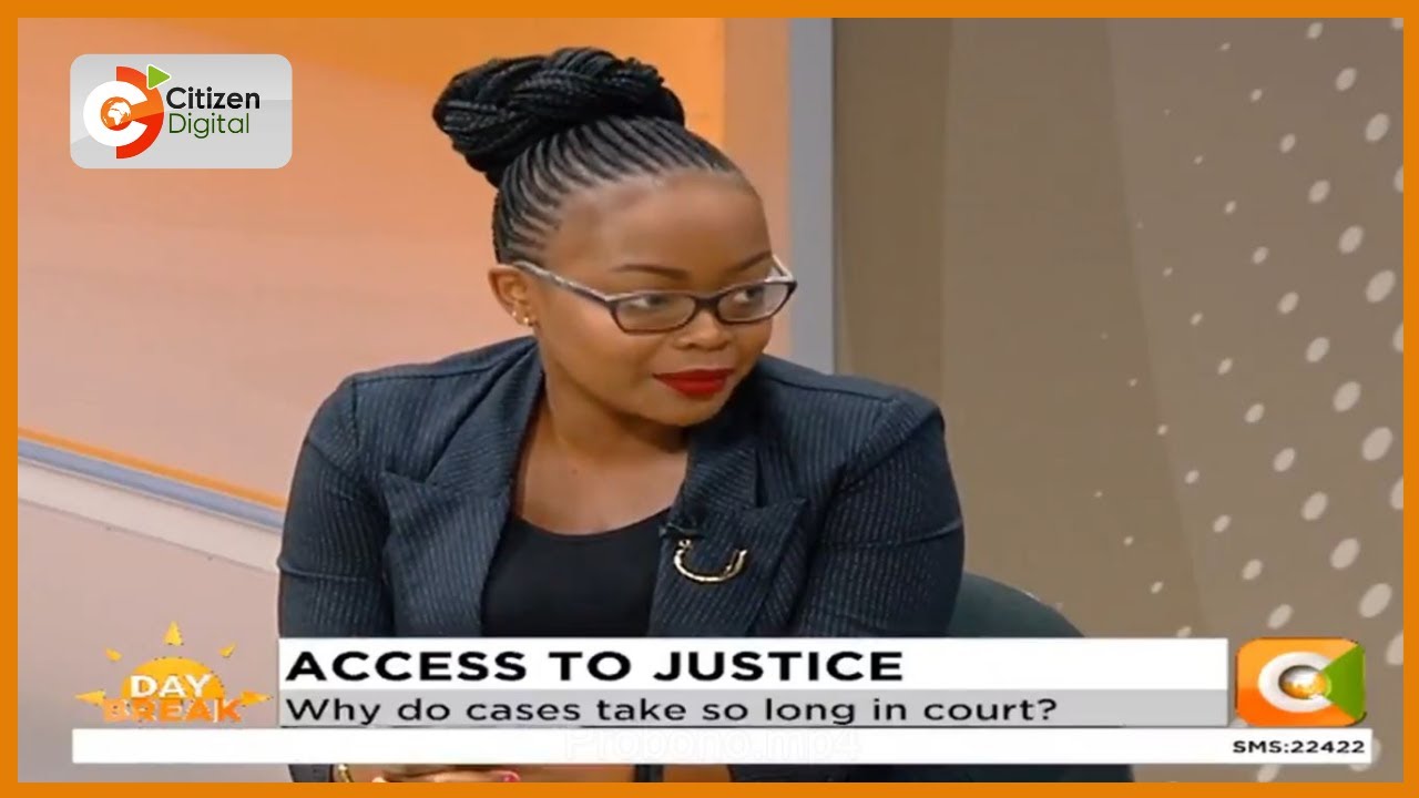 ACCESS TO JUSTICE | Joy Matheka on the organisations that can offer ...