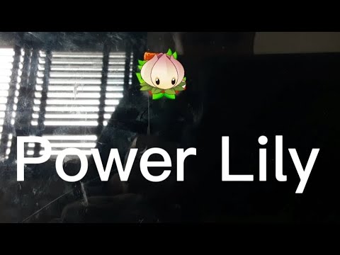 Plants VS Zombies - Song Audition Failure / Power Lily - YouTube