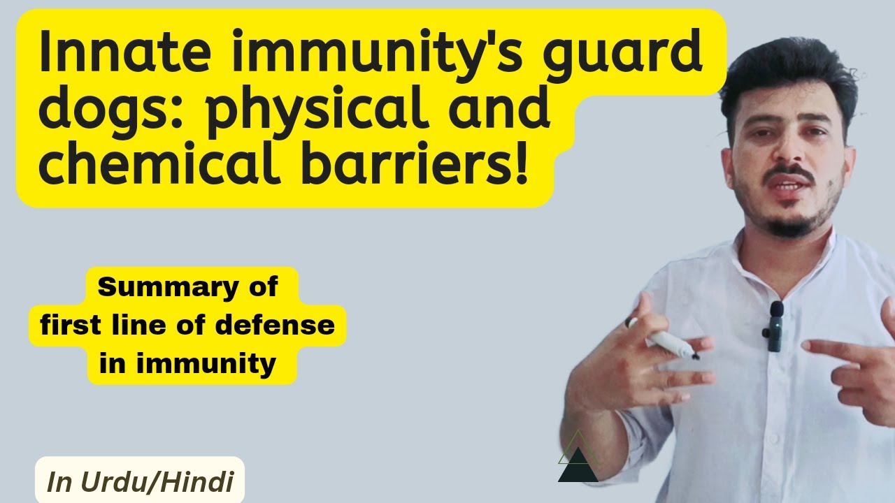 summary of first line of defense|physical and chemical barriers of ...