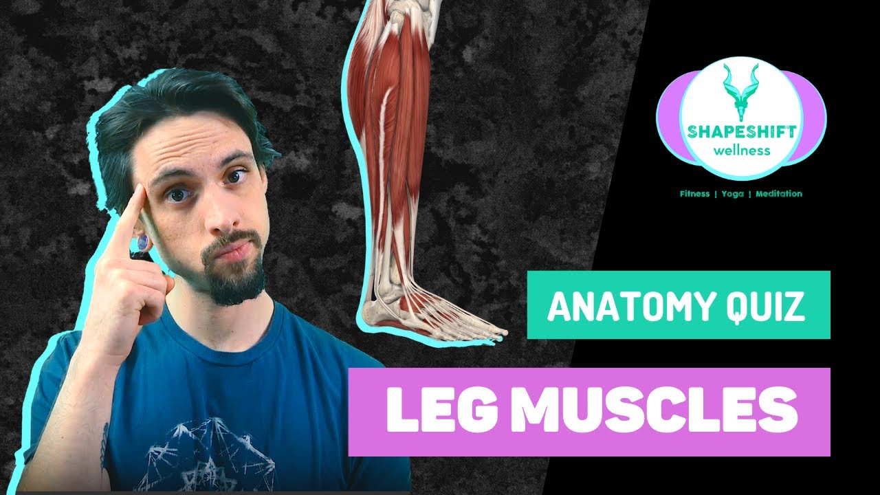 LOWER EXTREMITY MUSCLES | Anatomy QUIZ | Yoga Anatomy Lesson - YouTube