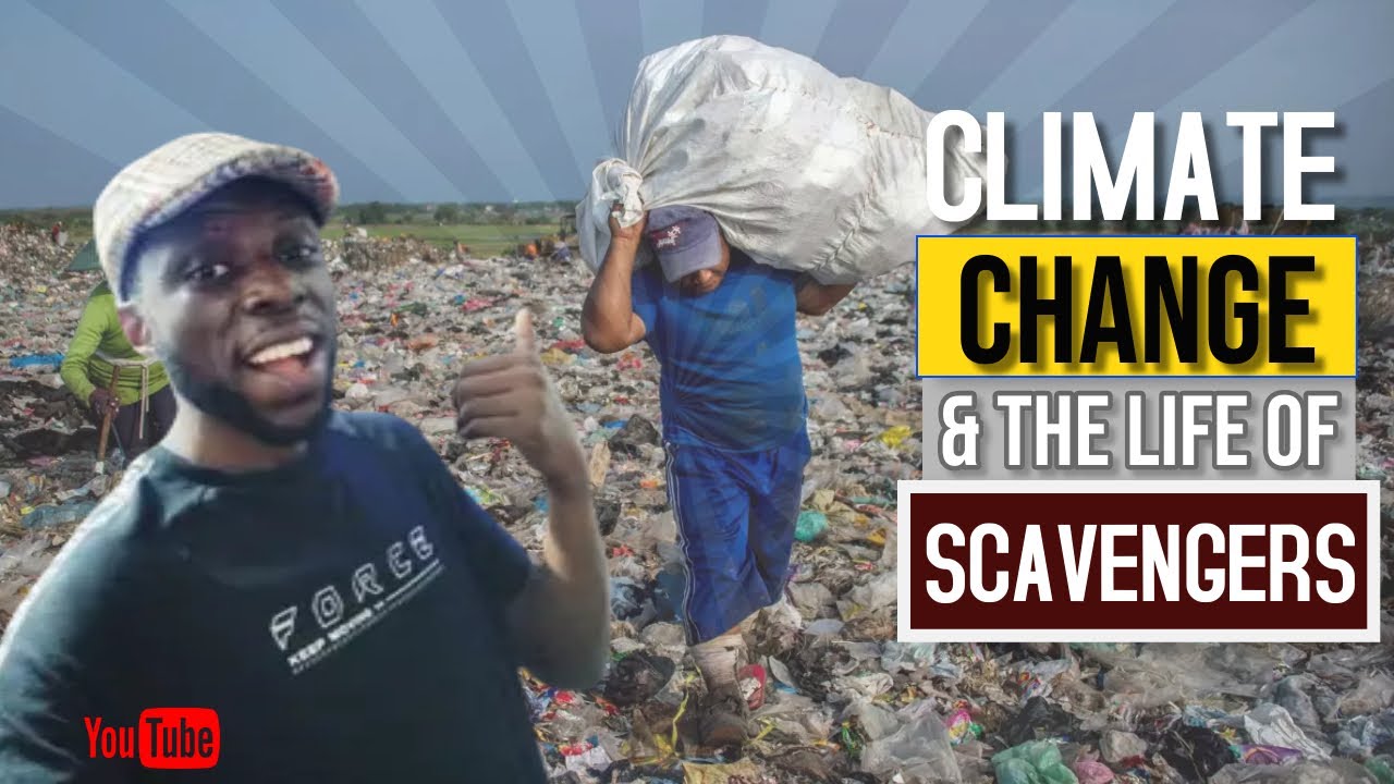 CLIMATE CHANGE & THE LIFE OF SCAVENGERS - YouTube