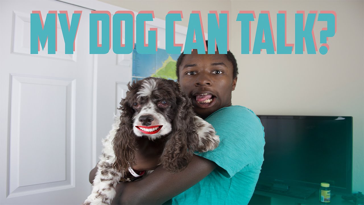 My Dog Can Talk? - YouTube