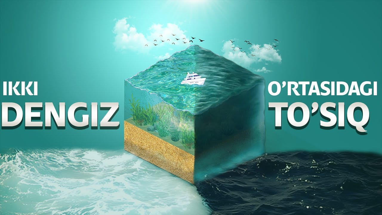 Bir-biri bilan aralashmaydigan daryo va dengiz suvlari - Ustoz Abdulloh ...