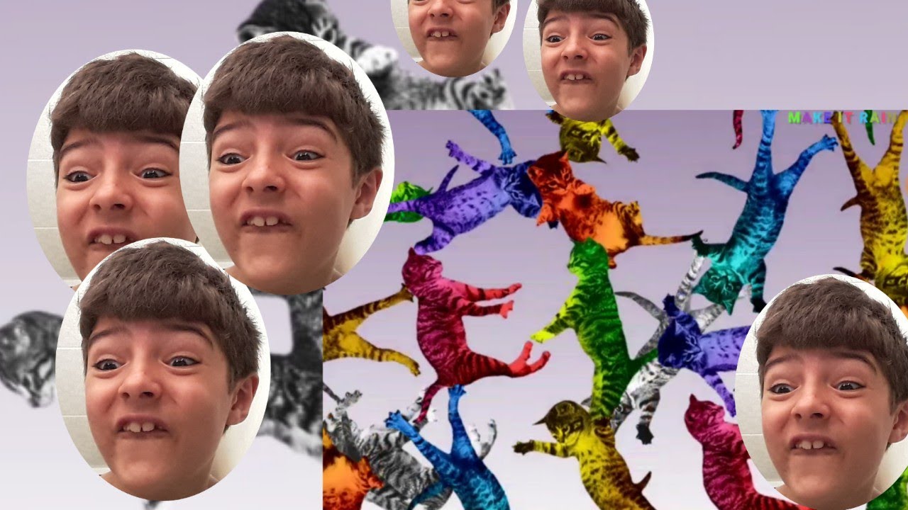 The useless web #12 CAT BOUNCE! - YouTube