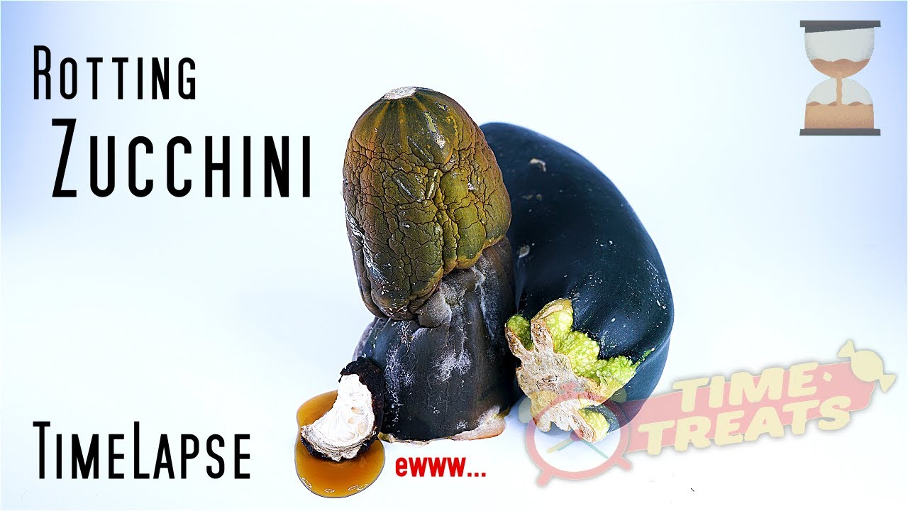 Rotting Zucchini - Vegetable Decomposition Time Lapse - YouTube