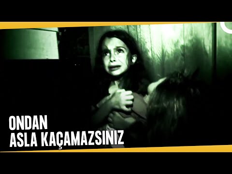 Cin Tüm Aileyi Yok Etti | Dabbe 3: Bir Cin Vakası