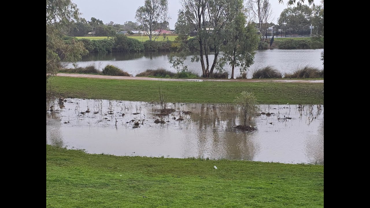 Pond overflow 26 July - YouTube