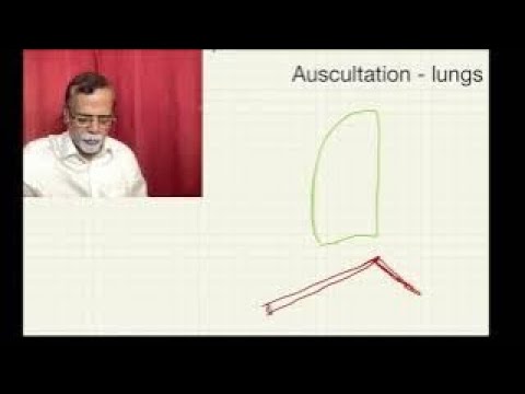 Auscultation Lung 1 Basics vesicular breath sounds - YouTube
