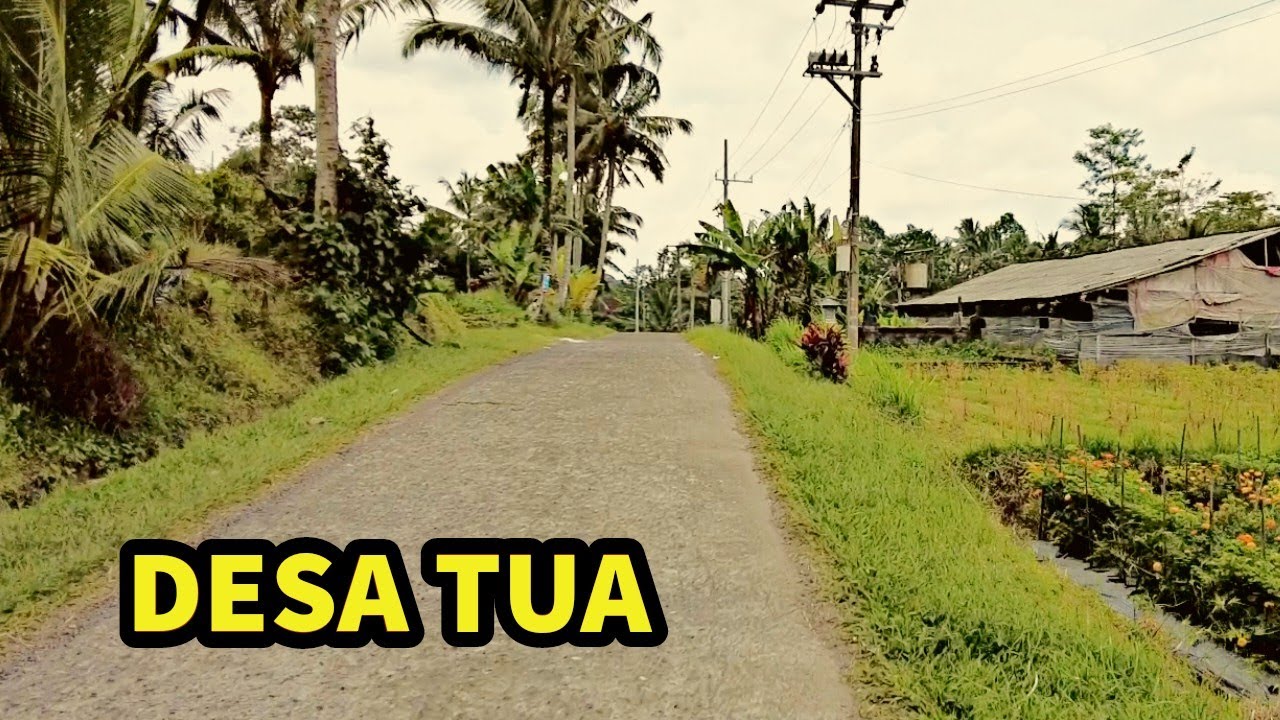 Selalu Menyenangkan Melewati Jalan Desa Tua, Marga, Tabanan, Bali - YouTube