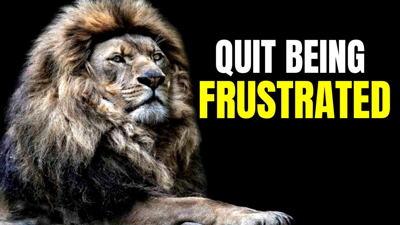 Quit Being So Frustrated I Powerful Motivational Speech - YouTube
