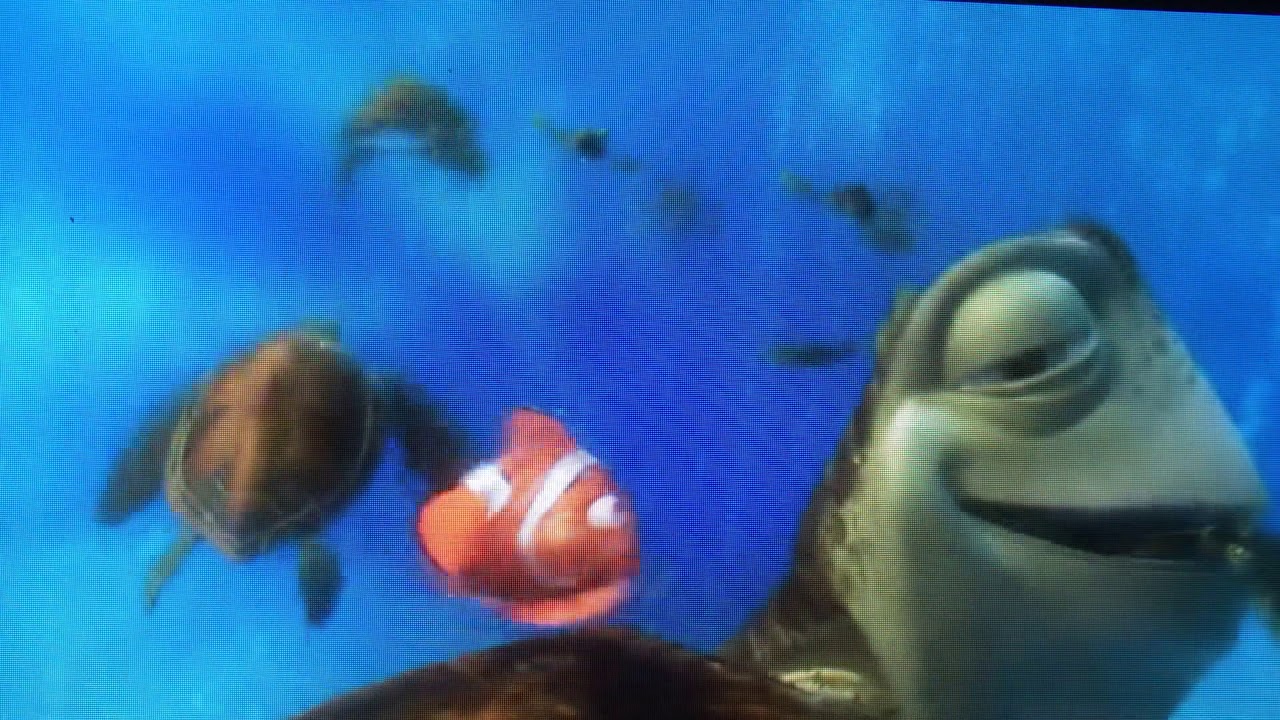 Okay grab shell dude grab what - YouTube