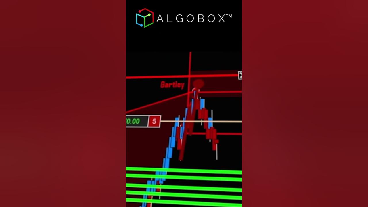 HMD Trade on Nasdaq Futures🔴AlgoBox | Real Time Order Flow Analysis | Ninjatrader 8 #algobox # ...