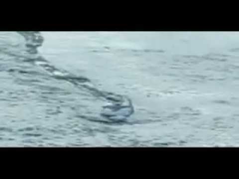 The Iceland Worm Monster (Lagarfljóts Worm) Caught on Tape? (2012 ...