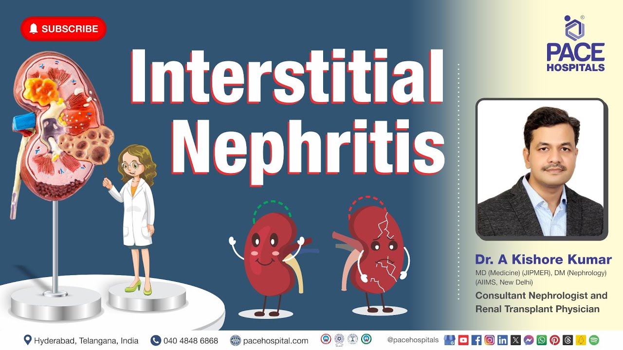 Interstitial Nephritis - Types, Causes, Diagnosis, Treatments ...