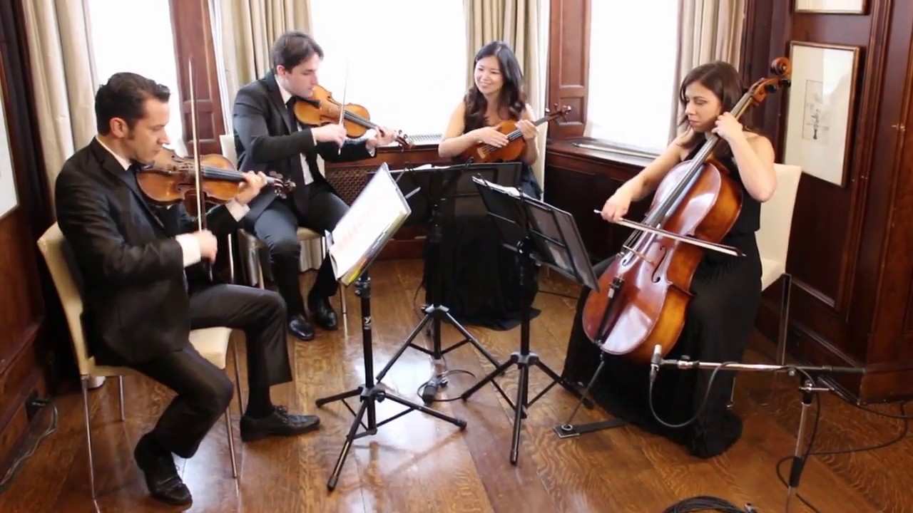 Shake It Off Taylor Swift String Quartet Cover Wellington Music shake-it-off-taylor-swift-string-quartet-cover-wellington-music