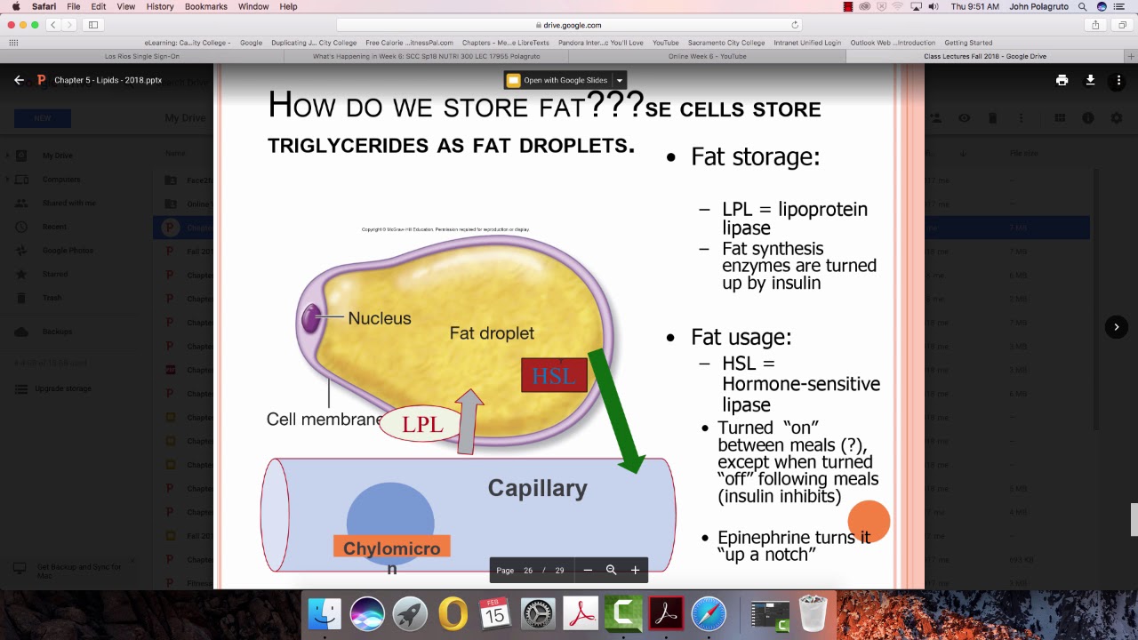 HSL and LPL - YouTube