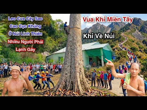 Mind-Blowing and Spine-Chilling: The Monkey King Climbs and Saws a Massive 40-Meter Sao Tree Like...