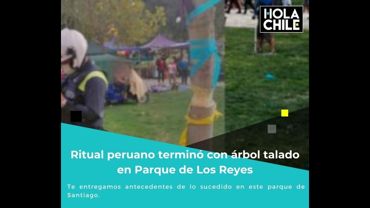 Ritual peruano terminó con árbol talado en Parque de Los Reyes ...