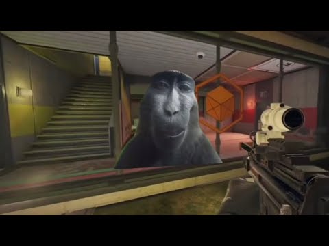 The Stadium Bravo Experience.... (Rainbow Six Siege) - YouTube