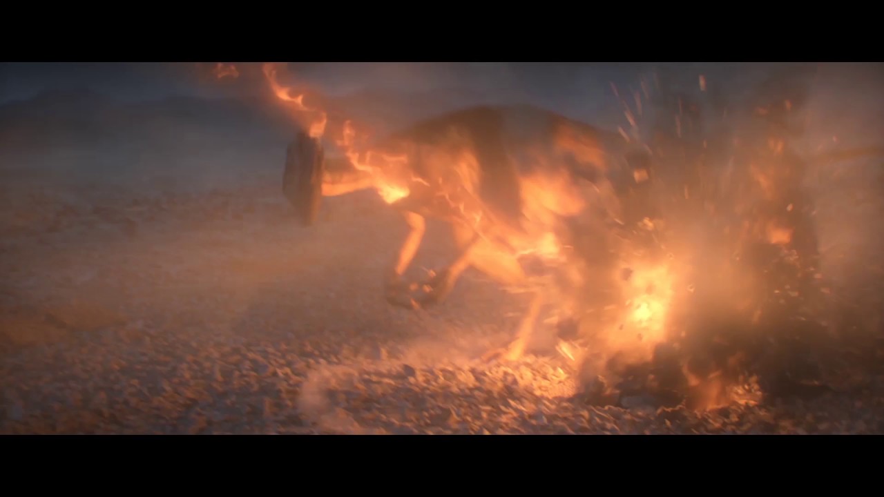 Citipati - Andreas Feix / TRAILER MECAL 2017 - YouTube