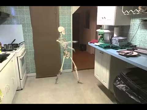skeleton in my kitchen - YouTube