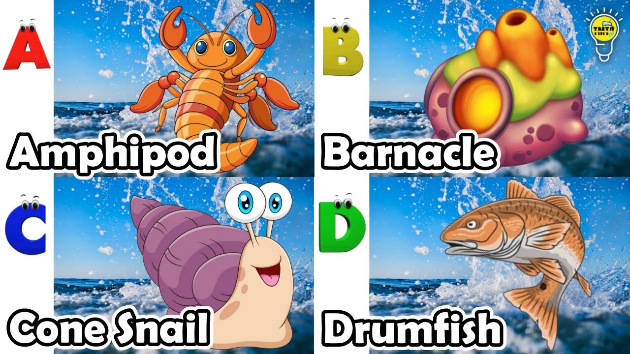 Amazing sea animals | ABC Sea Animals song | English and Animals for ...