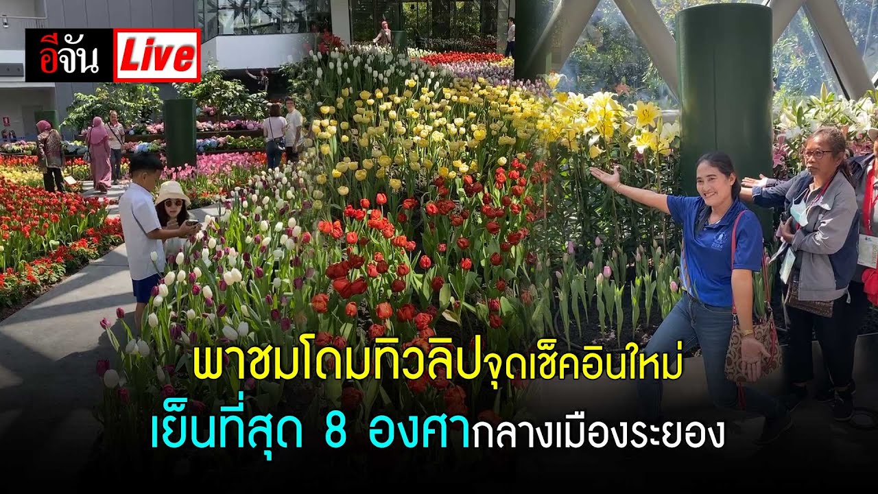 Live พาชม โดมทิวลิป จุดเช็คอินใหม่ ที่เย็นสุด! 8 องศา | อีจัน EJAN - YouTube