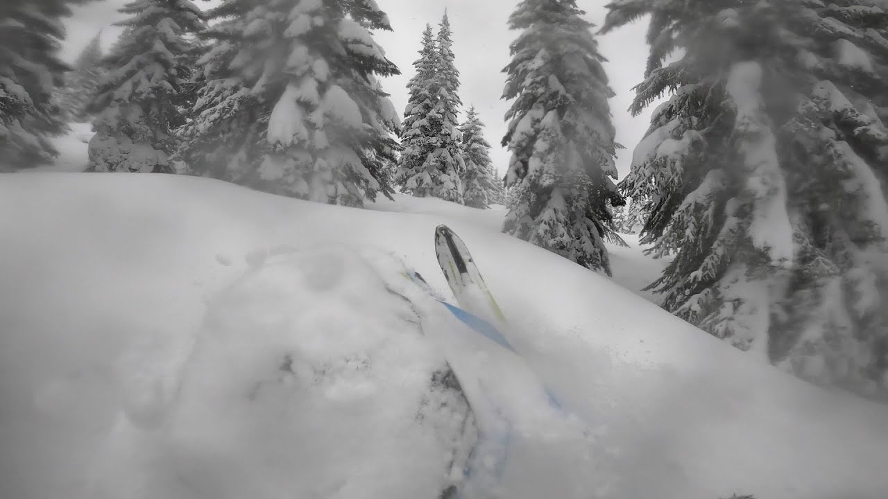 Screaming Deep Powder in Revelstoke | Backcountry Sledding - YouTube