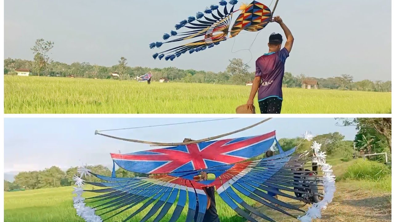 proses seting terbang layangan merak'an/mangotan..layangan khas nya ...