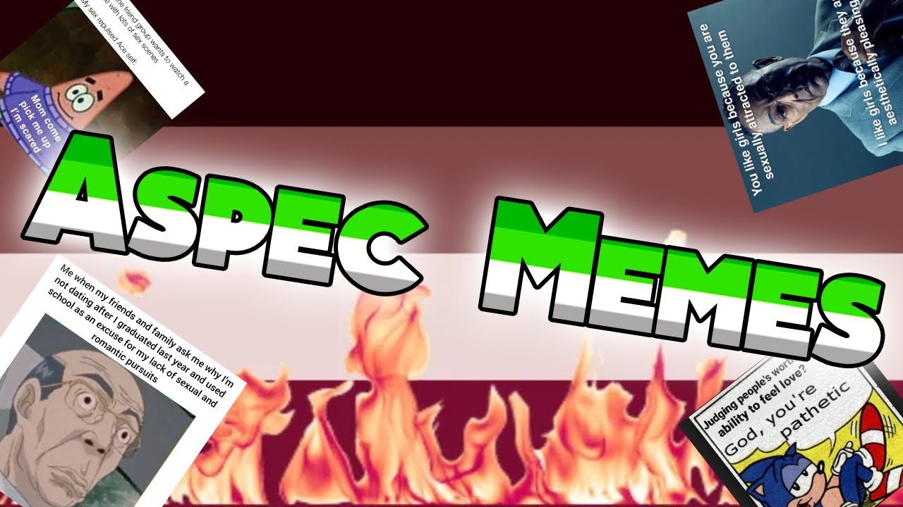 Aspec Memes 2: electric boogaloo | 20 Minutes of Aromantic,Asexual ...