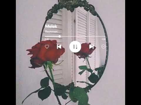 ❤️🌹 WhatsApp üçün sevgi videoları