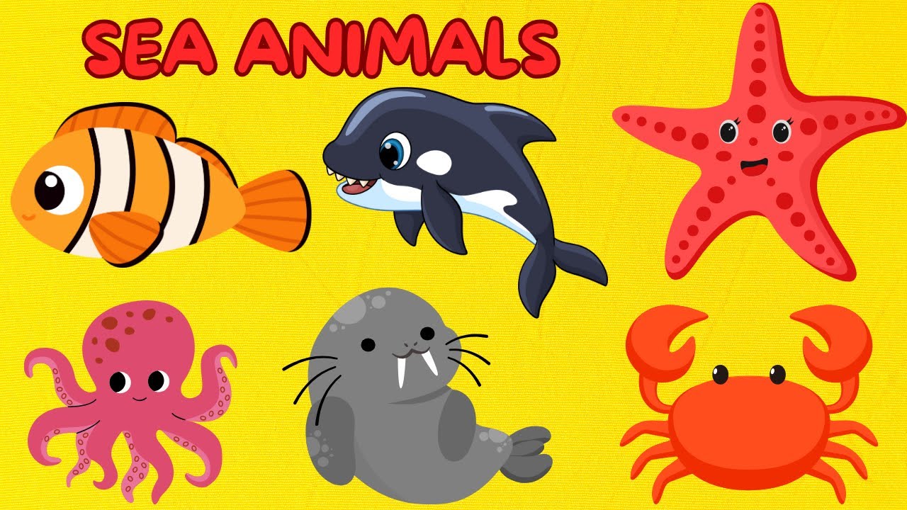 🌊 Sea Animals for Kids 🐬 | Learn 20 Ocean Animals with Fun Facts - YouTube