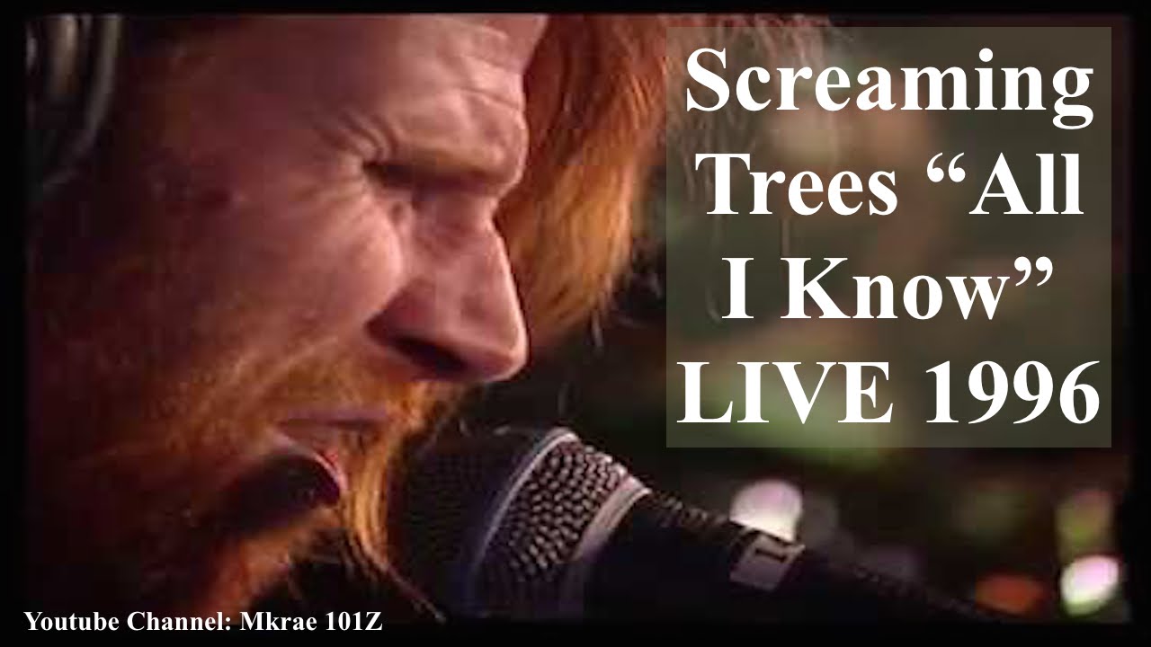 Screaming Trees Josh Homme