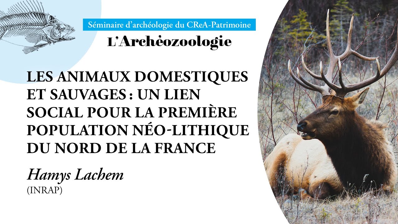 Les animaux domestiques et sauvages : un lien social pour la première ...
