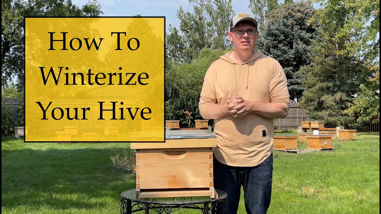 Episode 19: How To Winterize Your Hive - YouTube