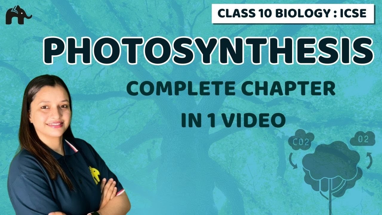 Photosynthesis | Chapter 6 Class 10 ICSE Biology | Selina - YouTube