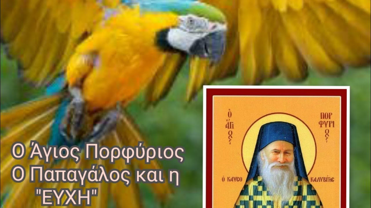 Ο Άγιος Πορφύριος,Ο Παπαγάλος και η "ΕΥΧΗ" - YouTube