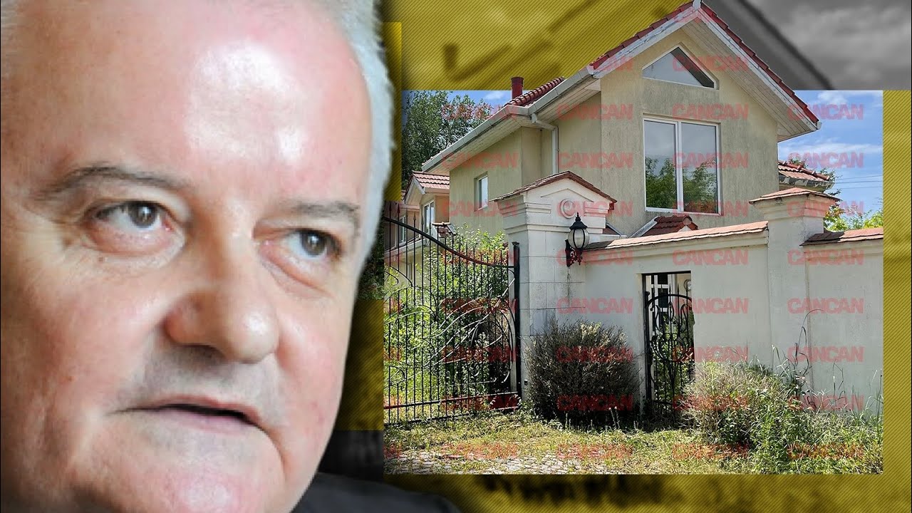 Vila de lux de la Izvorani a lui Irinel Columbeanu, în PARAGINĂ. Cine e ...