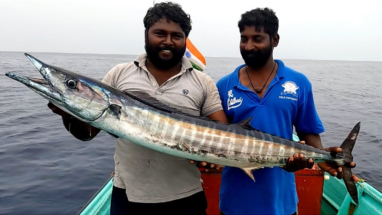 Catching Mahi Mahi Fish & Wahoo Fish in the Sea - YouTube