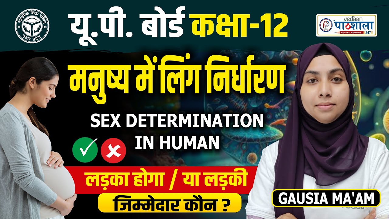 Sex Determination in Human , मनुष्य में लिंग निर्धारण | XX-XY System ...