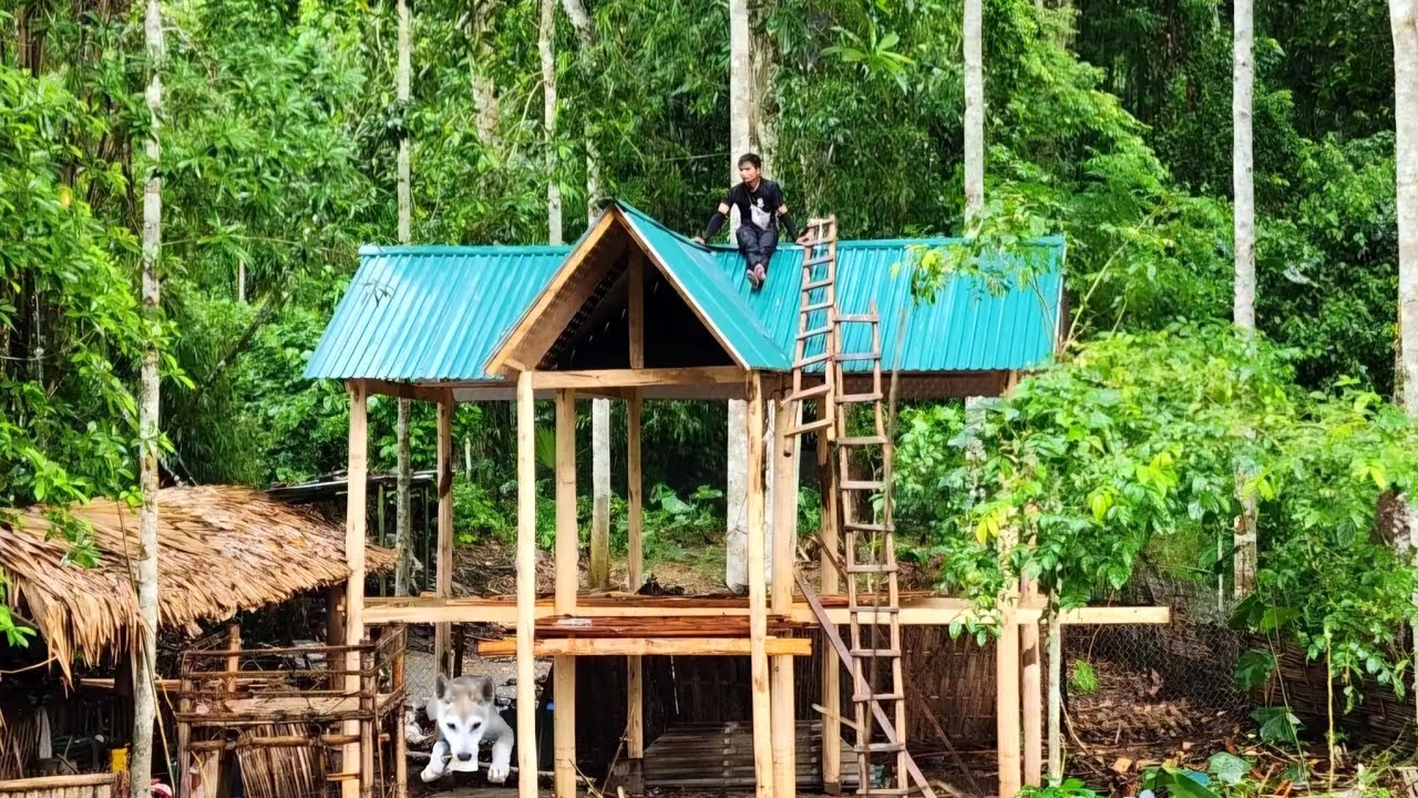 journey alone: living in the forest. making a wooden house building a ...