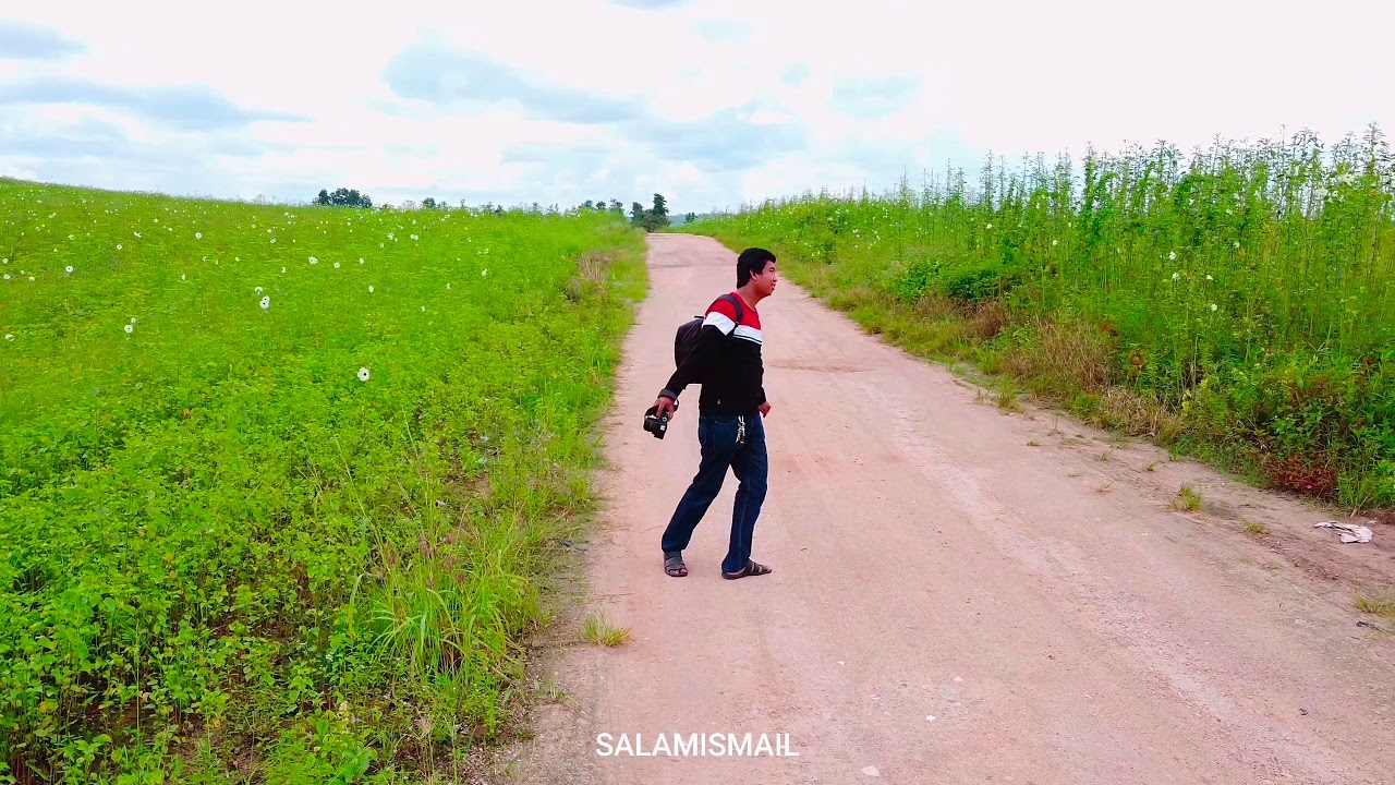 Ladang Kenaf | Chuping Perlis - YouTube