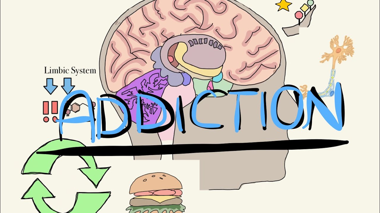 Is Addiction a Brain Disease? - YouTube