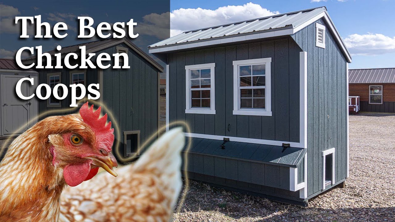 Chicken Coop - YouTube