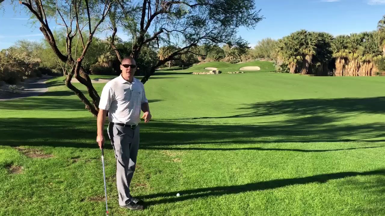 How to Hit the Ball Low Under a Tree - YouTube