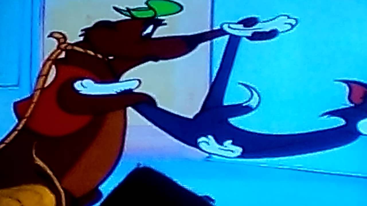Tom & jerry - YouTube