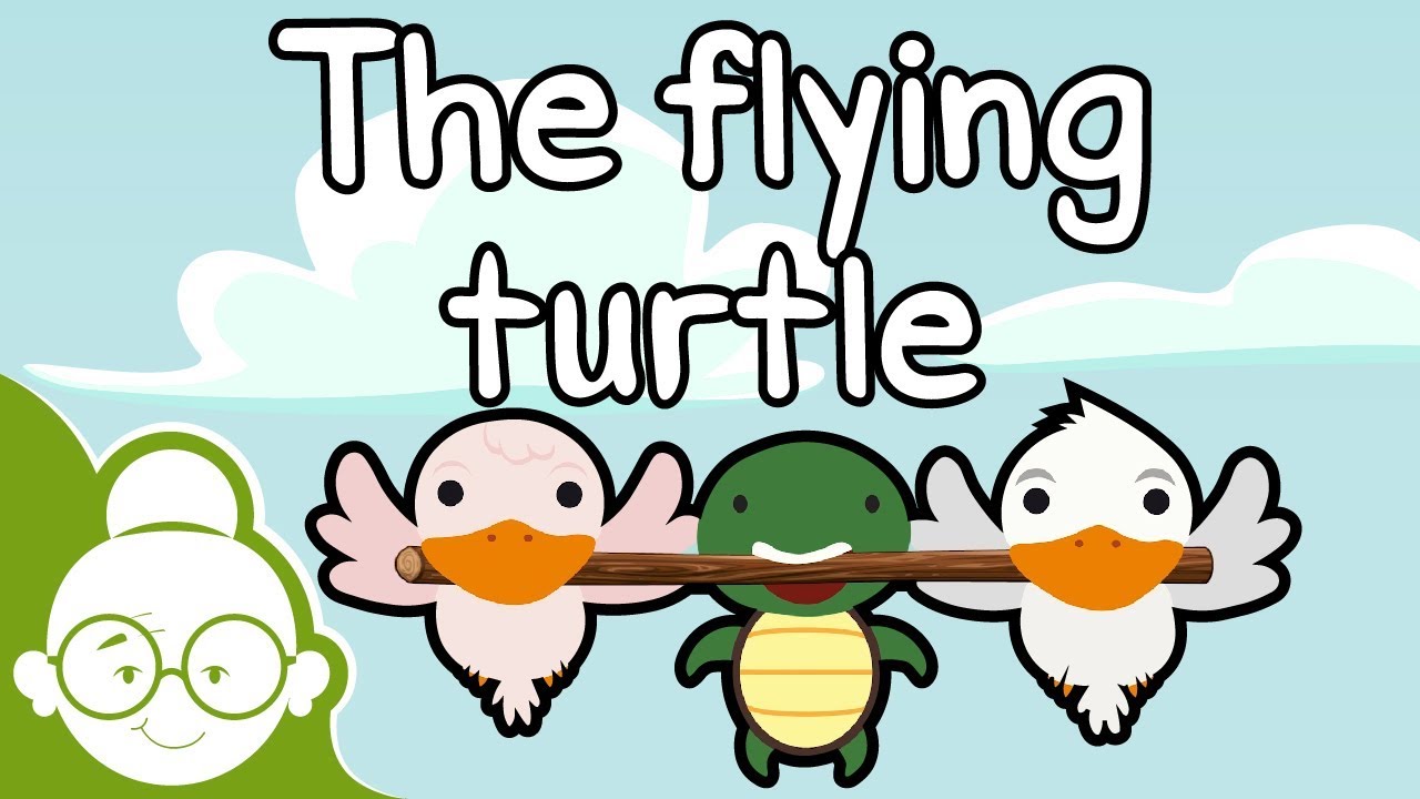 The flying turtle - YouTube
