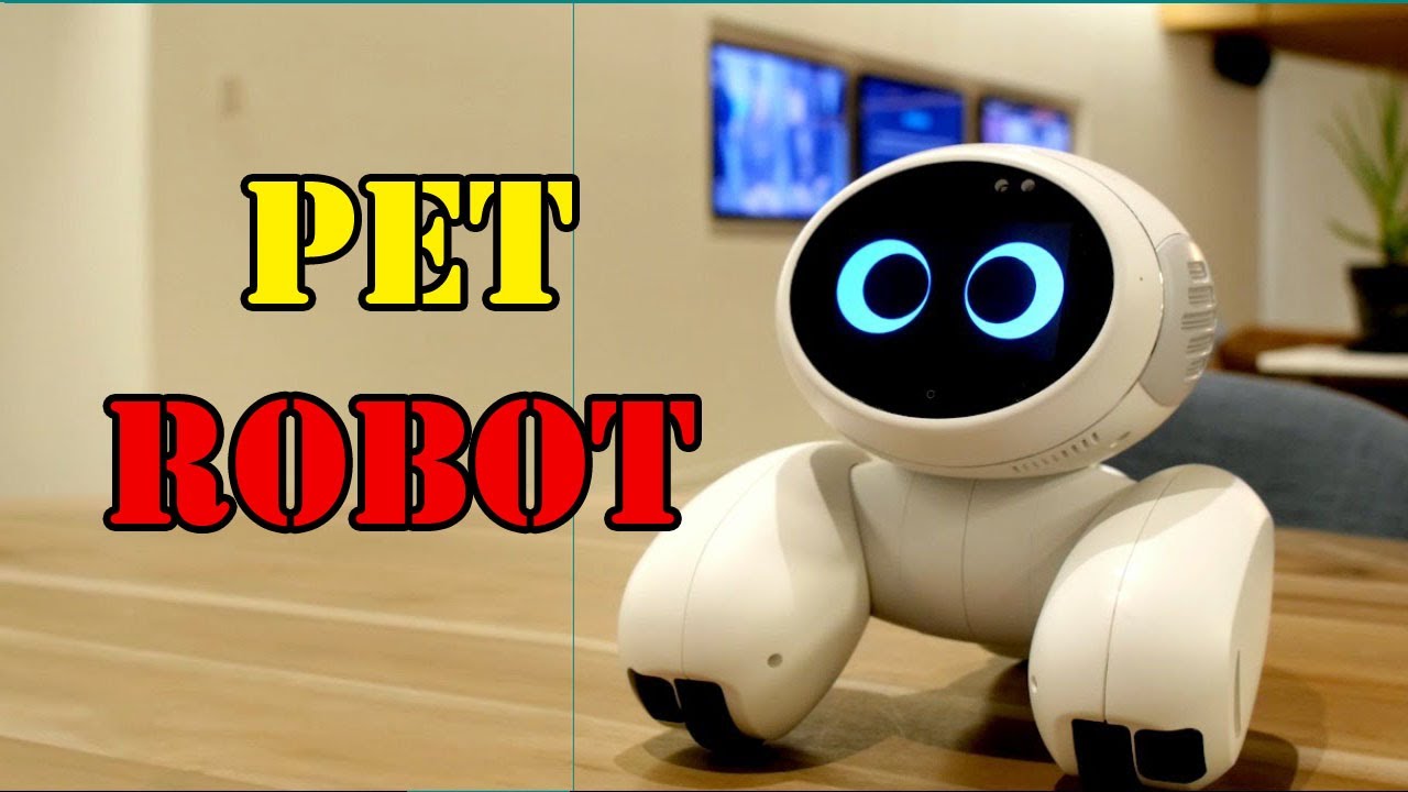 Top Robot Pets - YouTube