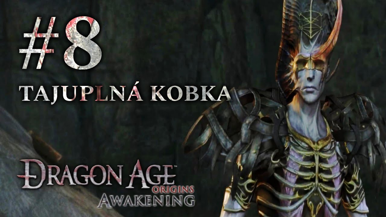 Tajuplná kobka | Dragon age: Awakening | #8 | CZ LP - YouTube