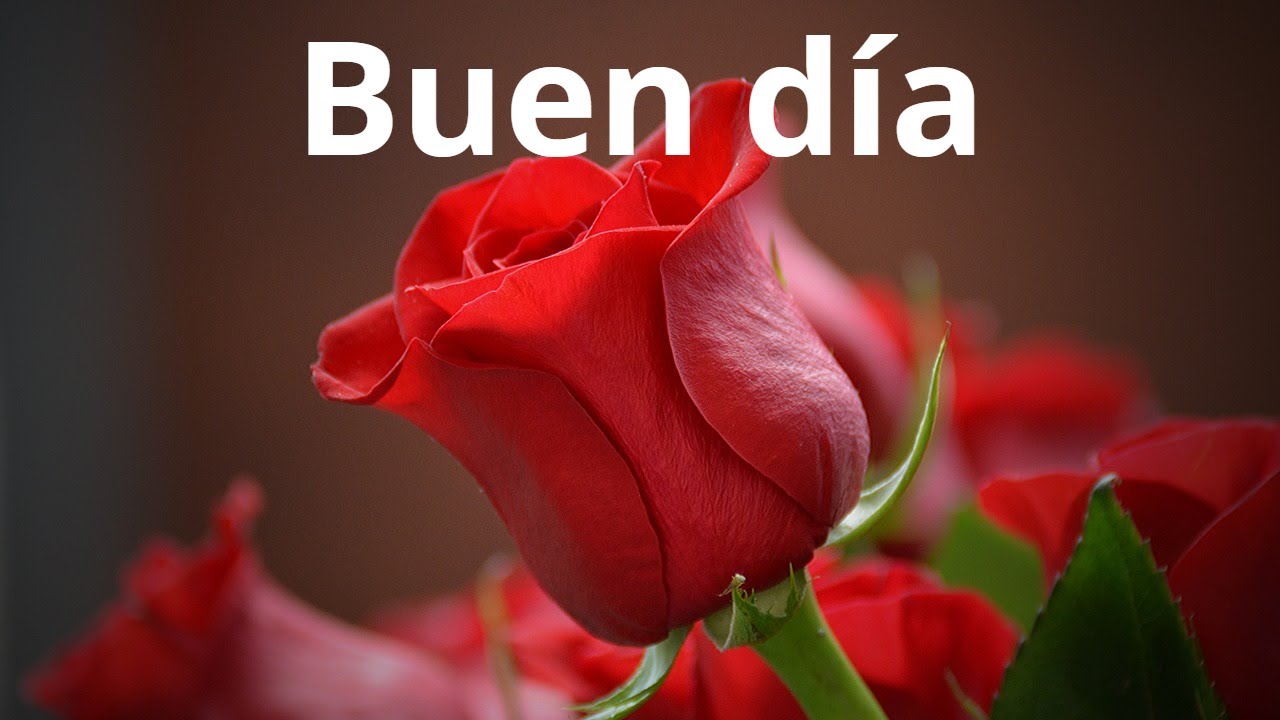 DESEO TU DIA SE GENIAL Y TUS MANOS SE LLENEN DE BENDICIONES - YouTube